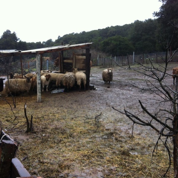 Gomez Ranch - Watsonville, CA