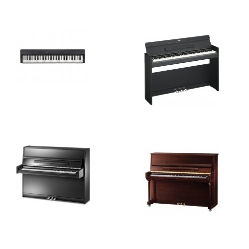 Cranes Music - Worcester, Worcestershire