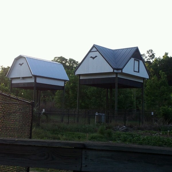 Bat House - General Entertainment