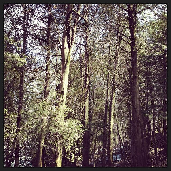 Lower Cato Falls County Park - 2 tips