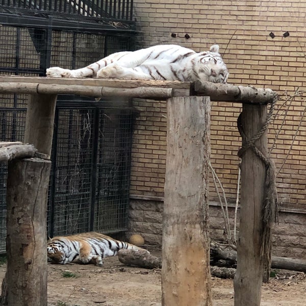 Photos at Tehran Zoo | باغ وحش تهران - منطقه ۵ - Eram Park