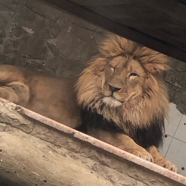Photos at Tehran Zoo | باغ وحش تهران - منطقه ۵ - Eram Park