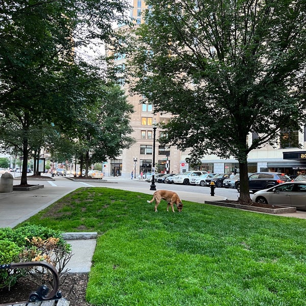 Statler Park - Back Bay - 3 tips