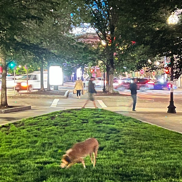 Statler Park - Back Bay - 3 tips