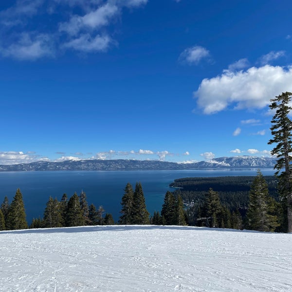 Big Blue View Bar - 2 tips