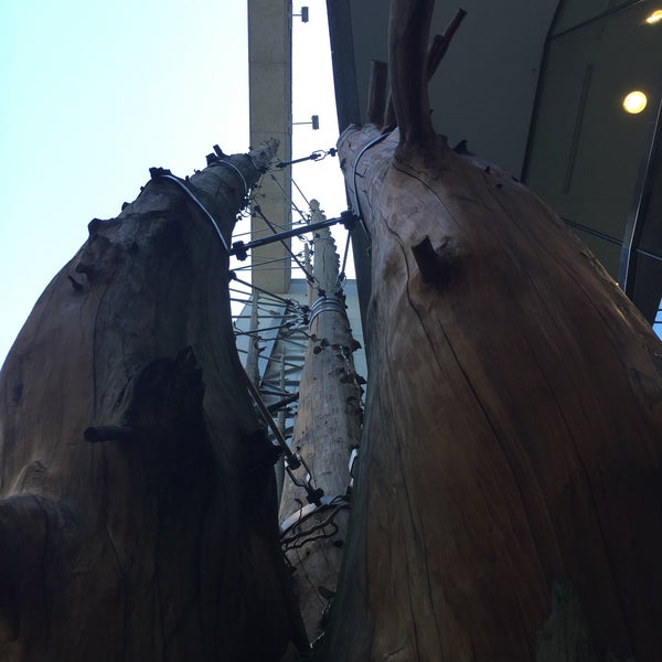 Photos at The Moda Tower - Downtown Portland - 1 tip