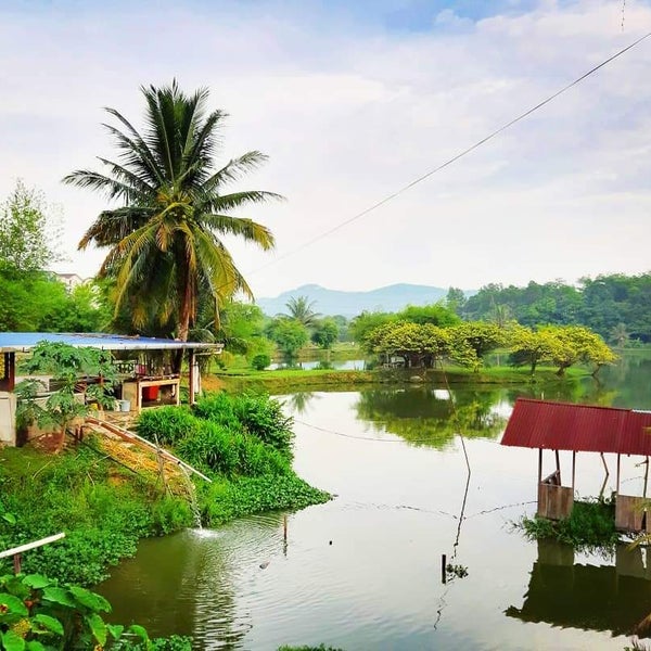 Kolam Ikan Amir - Piscina