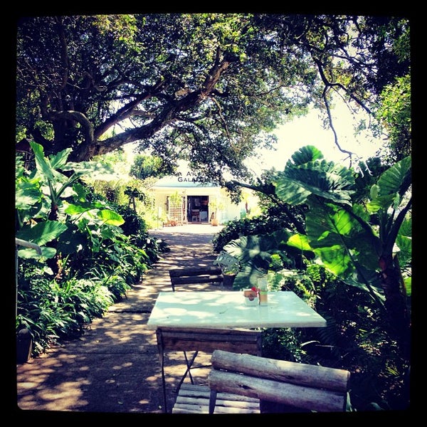 Green With Envy Tea Garden - Musgrave - Vause Rd
