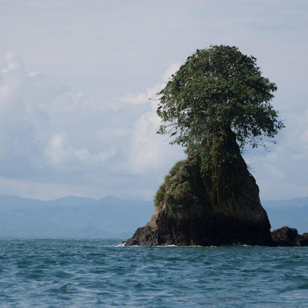 Parque Nacional Natural Utría - 6 tips from 14 visitors