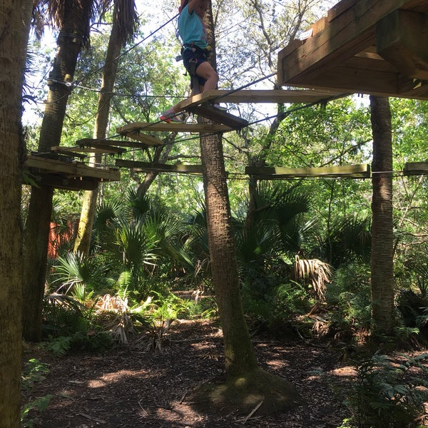 Treetop Trek At Brevard Zoo - 6 tips