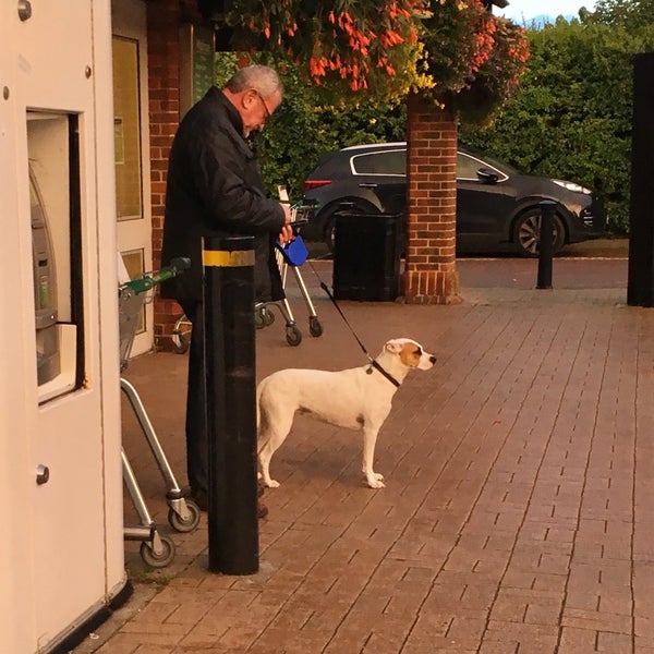 Waitrose & Partners - Farnham, Surrey