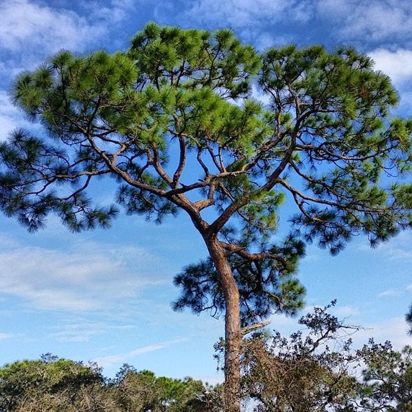 The Naples Preserve - Park in Naples