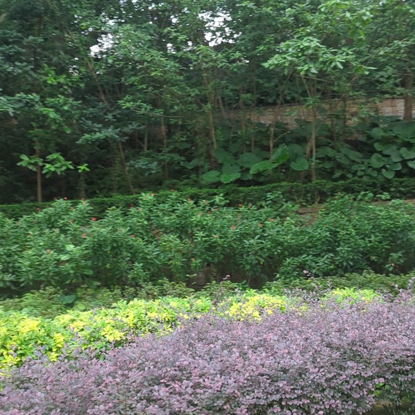 Photos at Hong Kong Park - Central - 19 Cotton Tree Dr