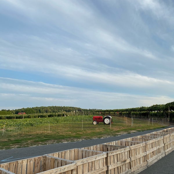 Lookout Farm - 18 tips from 1055 visitors