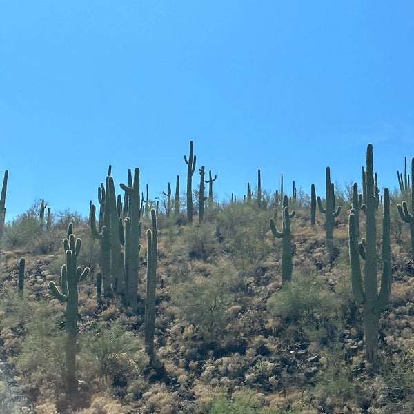 City of Phoenix - 67 tips from 17801 visitors