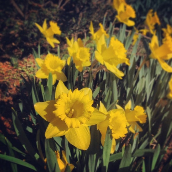 Seamon Memorial Park - 55 visitors