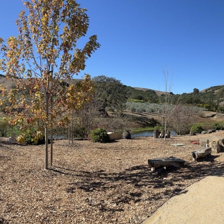 McEvoy Ranch - Winery in Petaluma