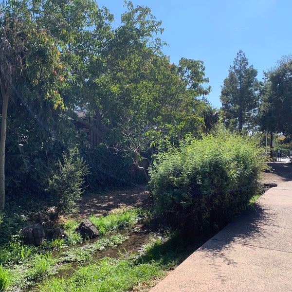 Frog Park - Playground in Oakland