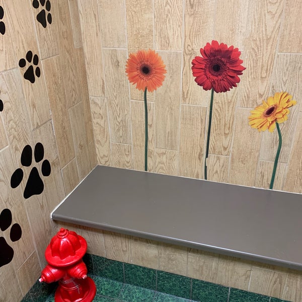 Pet Relief Area - 1 tip