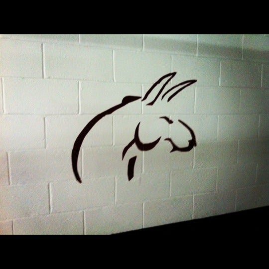 Burros Blancos del IPN - College Football Field