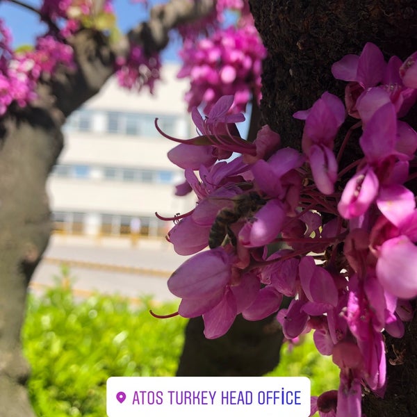 Atos Turkey Head Office - Office