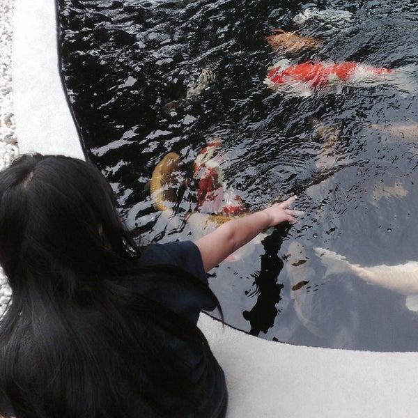 Estuar Farm - Binangonan, Rizal