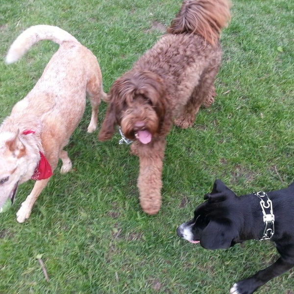 Photos at East Pointe Commons Dog Park - Dog Run in Lower East Side