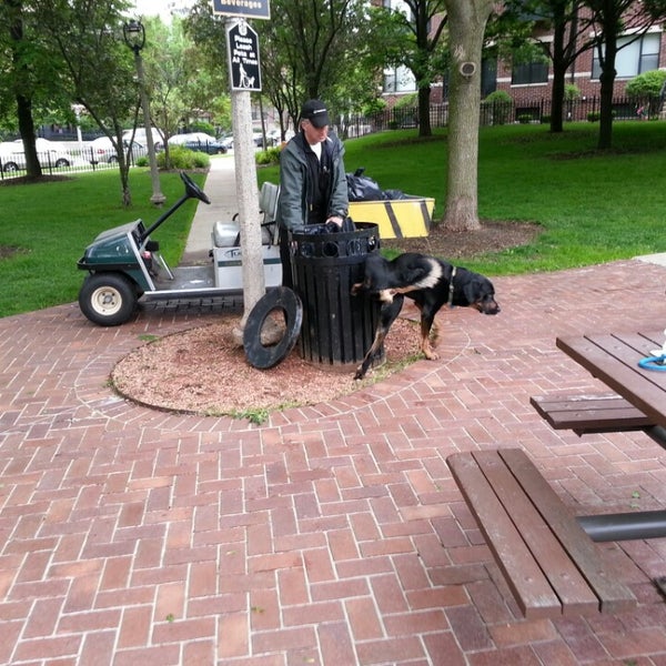 Photos at East Pointe Commons Dog Park - Dog Run in Lower East Side