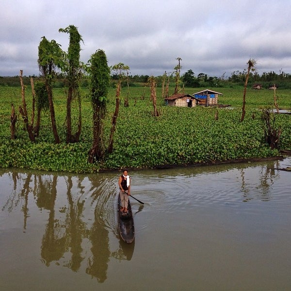 Agusan Marsh - Loreto, Agusan del Sur