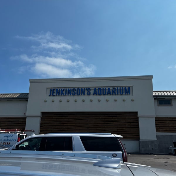 Jenkinsons Aquarium - Aquarium