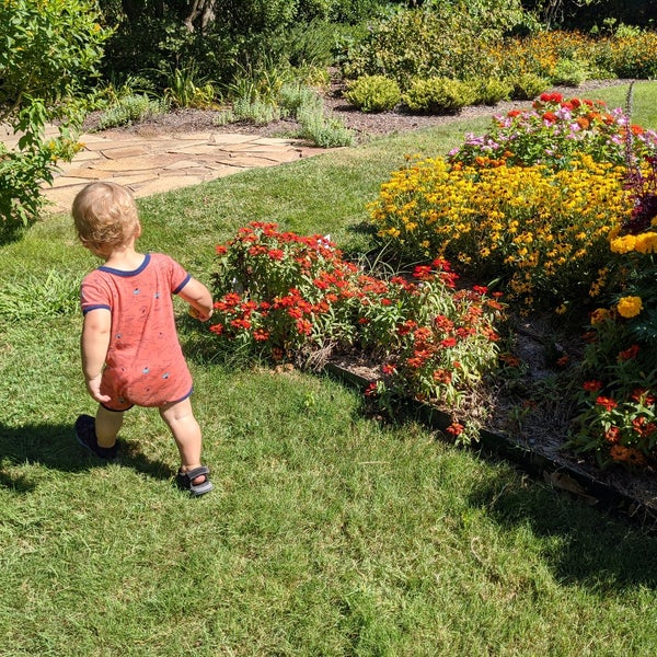 OSU Botanic Garden - 2 tips