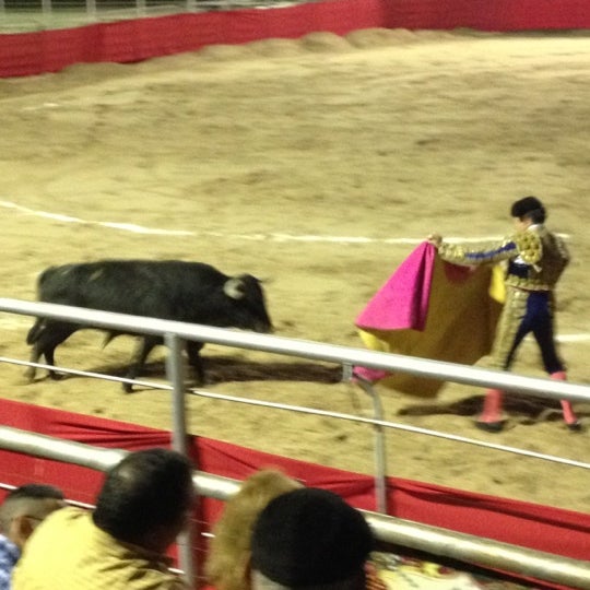 Hidalgo County Sherriff Posse Rodeo - Edinburg, TX