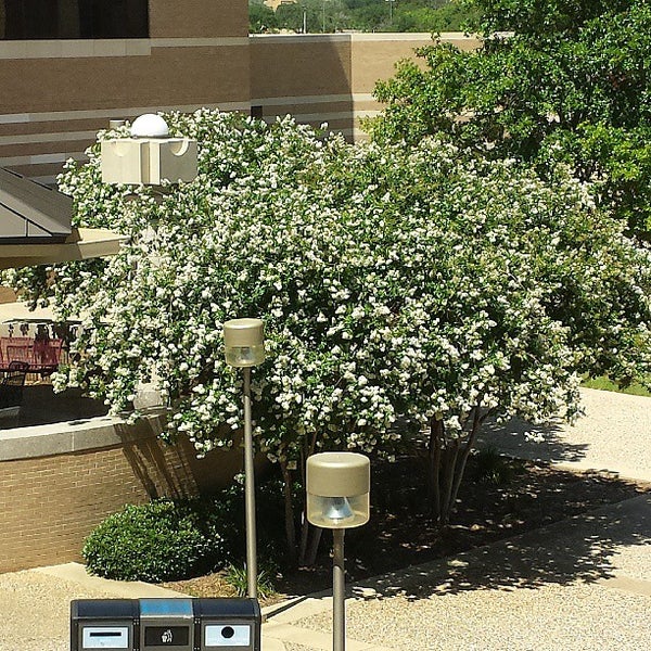 Wehner Building - College Academic Building in Texas A&M University