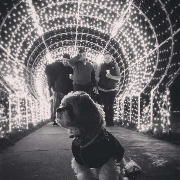 Photos at Evergreen Community Church - Bothell, WA