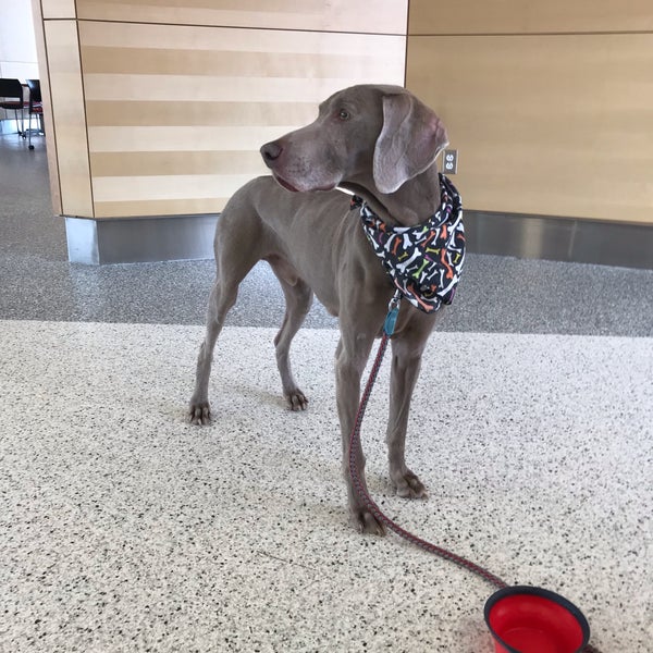 Ohio State Veterinary Medical Center - 3 tips