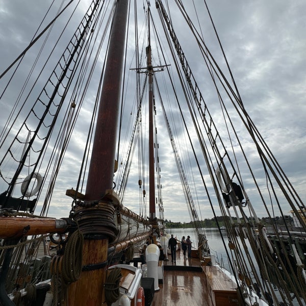 Bluenose ll - 143 visitors