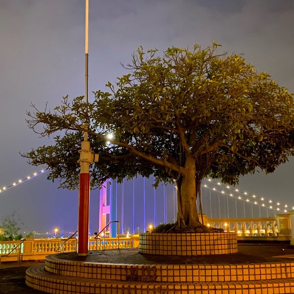Lantau Link Viewing Platform 青嶼幹線觀景台 - Scenic Lookout in 青衣