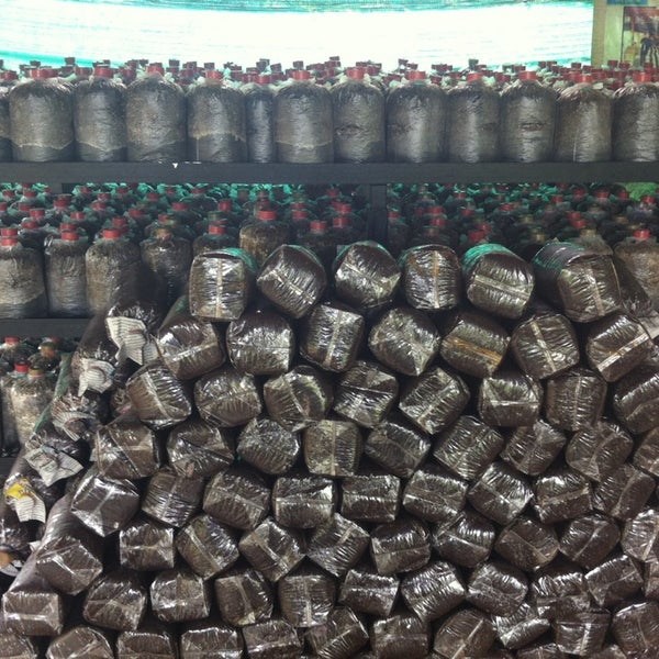 SCG Paper Group @ Khon Kaen