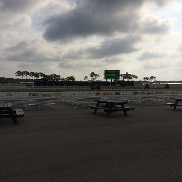 Photos at Tampa Bay Downs - Race Track