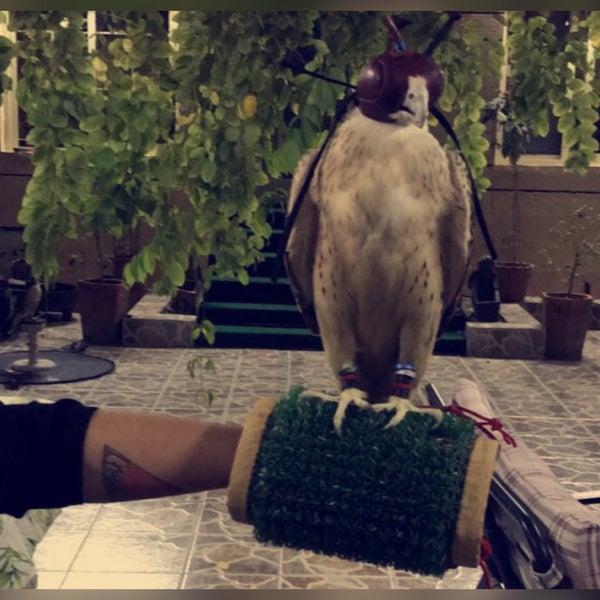 Dar Al Sham - دار الشام - Middle Eastern Restaurant in Al-Ain