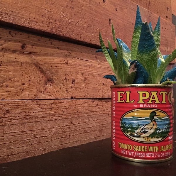 Wild Salsa - Dallas, TX