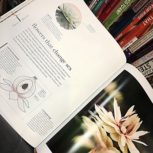 WHSmith - Shepherd's Bush - Wood Ln