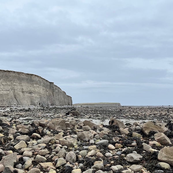 Silver Strand - 4 tips