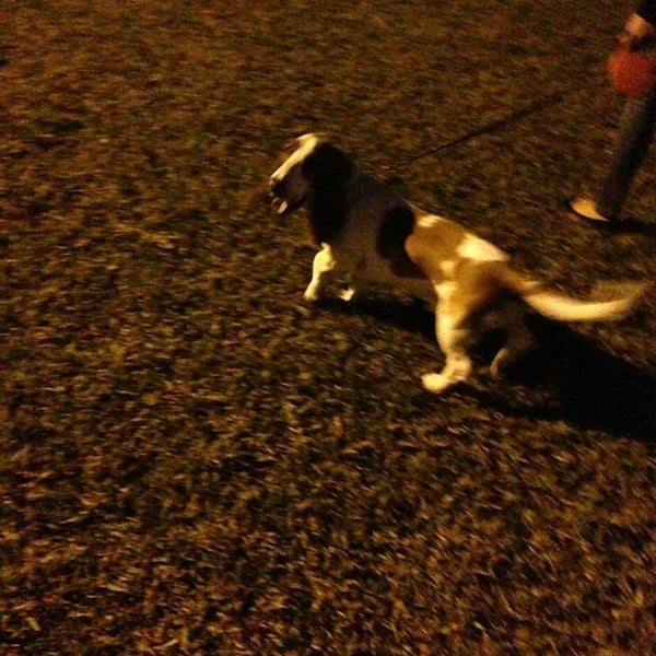 Playground By Mandarin Oriental - Playground in Brickell Key