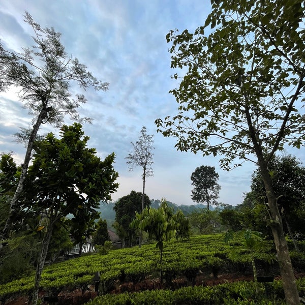 Vythiri - Travel and Transportation