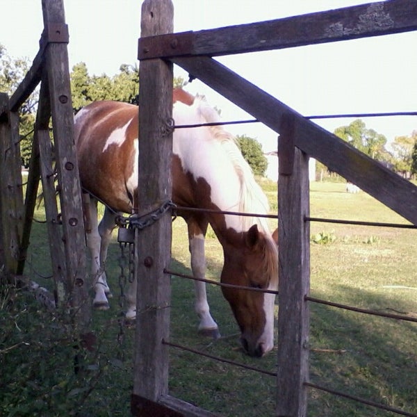 Photos at Facultad de Ciencias Veterinarias (UBA) - College Science ...