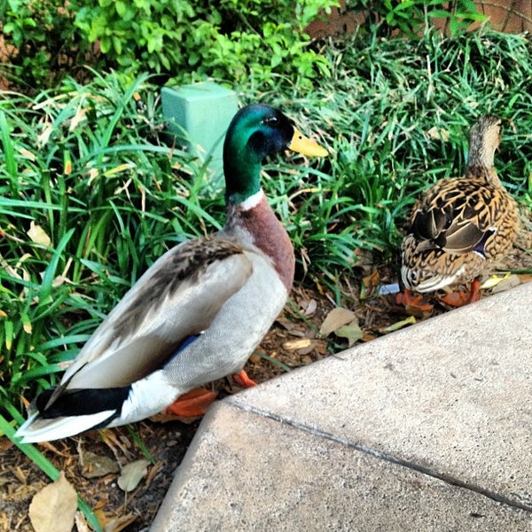 Photos at Take 5 Cast Cafe - Walt Disney World Resort - 34 tips from ...