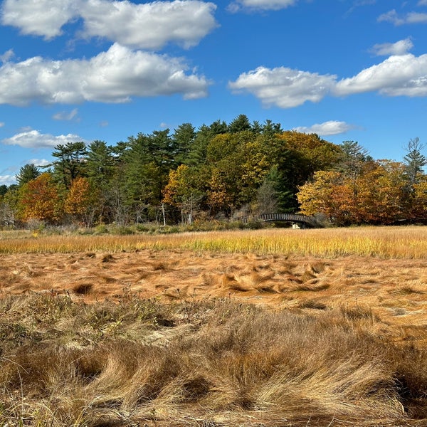Fore River Sanctuary Trail - 1 tip from 122 visitors