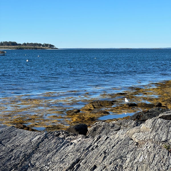 Kettle Cove - 7 tips