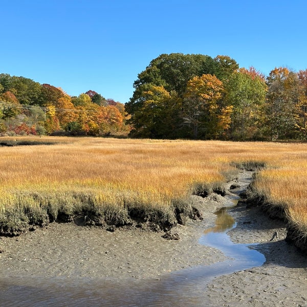 Fore River Sanctuary Trail - 1 tip from 122 visitors